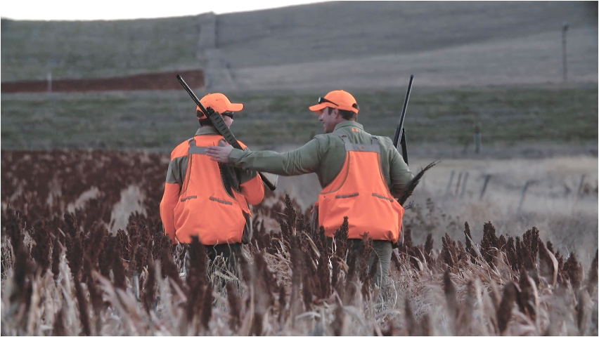 Father & Son Pheasant Hunt | Shooting Sportsman