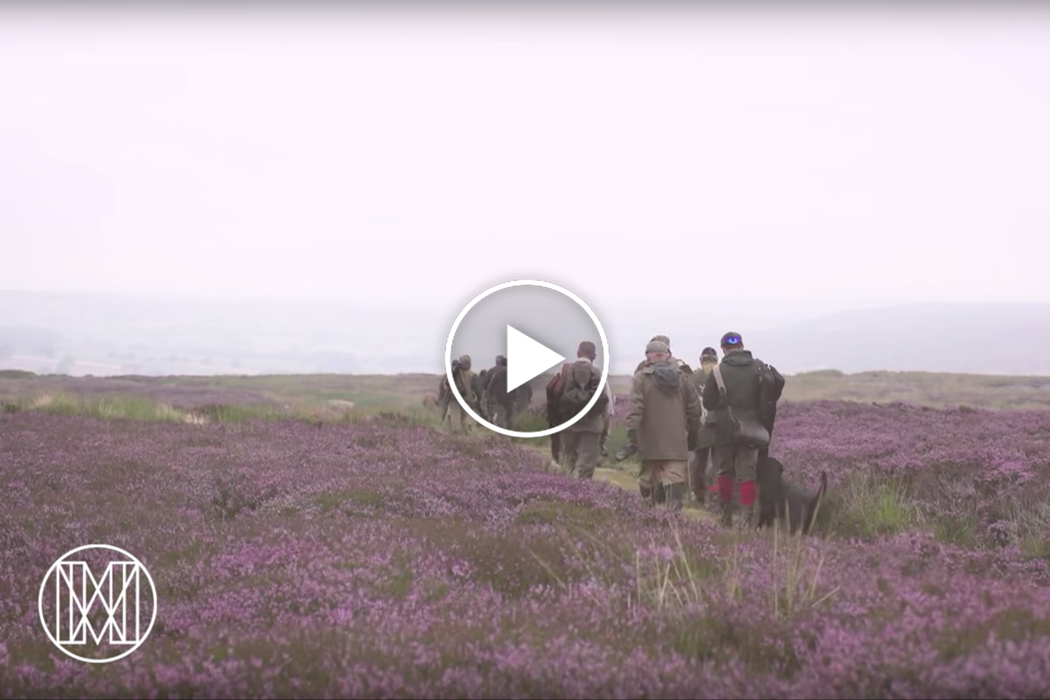 Red Grouse: The Joys of Driven and Walk-Up Shooting