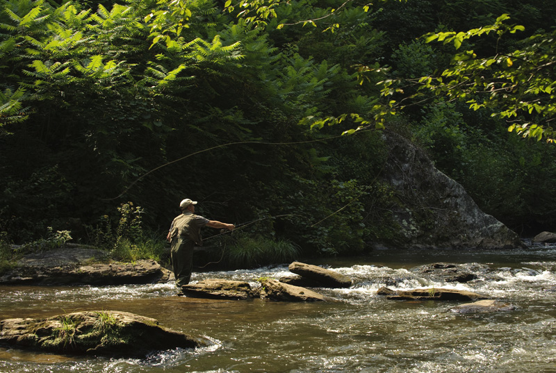 Primland | Shooting Sportsman Endorsed Lodge