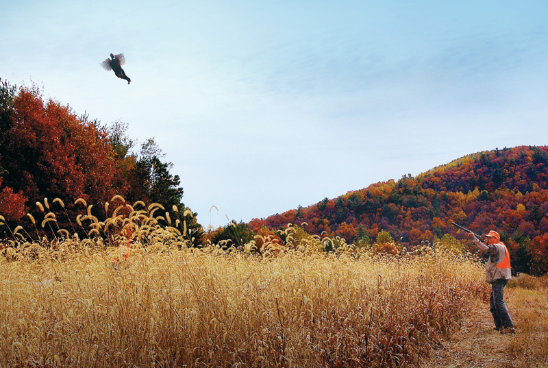 Primland | Shooting Sportsman Endorsed Lodge