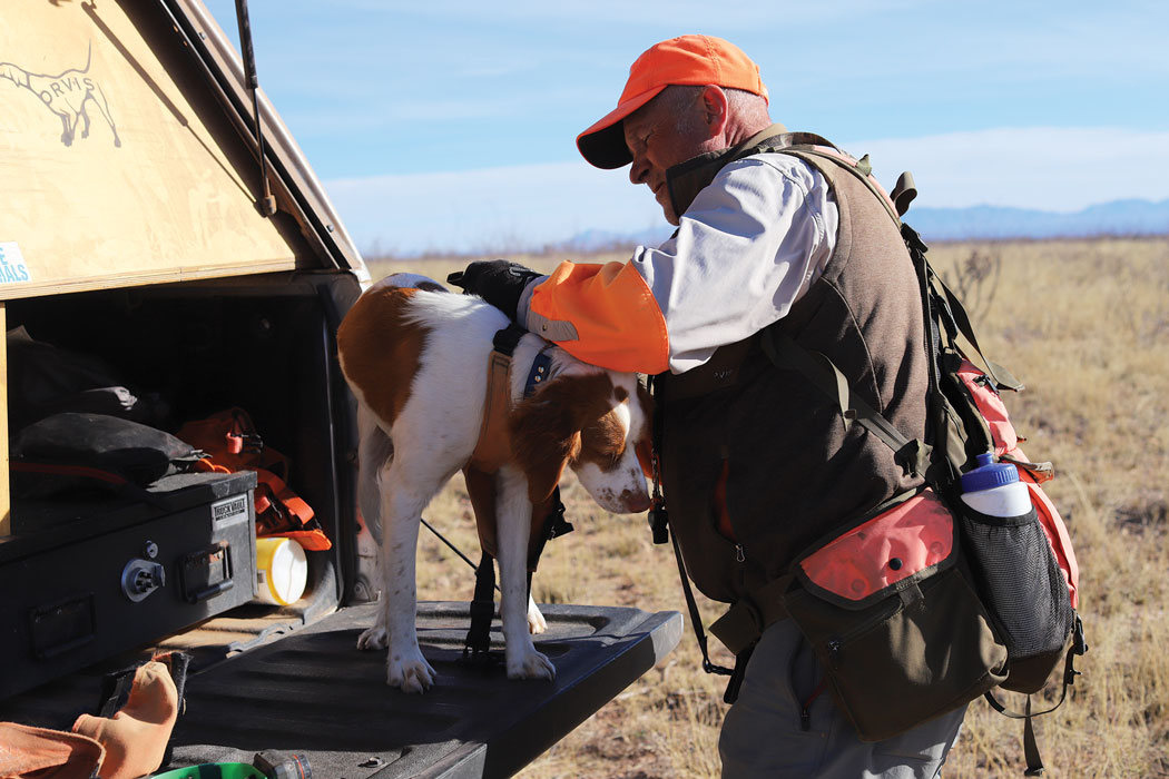 Classic Bird Hunts - Where the Wild Quail Are | Shooting Sportsman