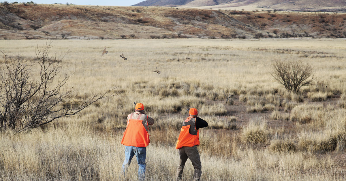 Classic Bird Hunts - Where the Wild Quail Are | Shooting Sportsman