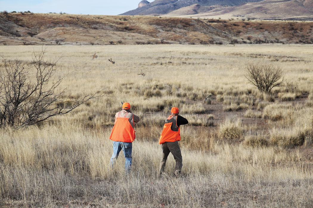 Classic Bird Hunts - Where the Wild Quail Are | Shooting Sportsman