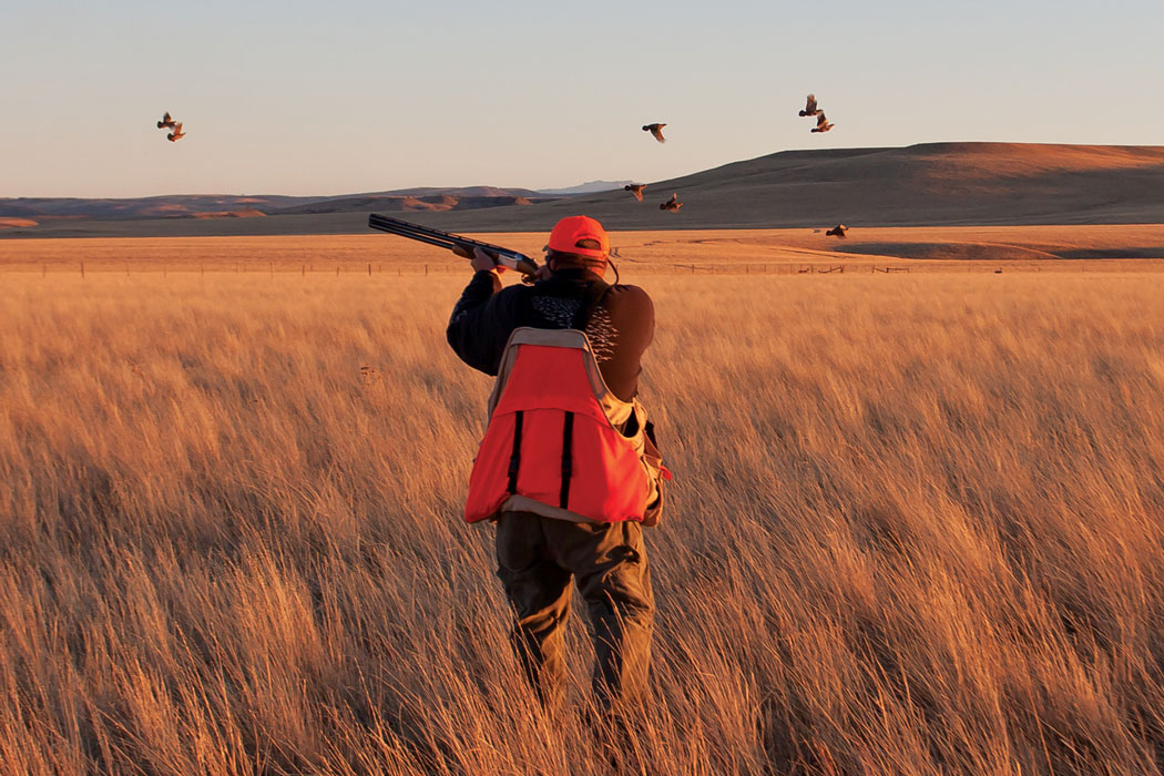 The 28 Gauge for Hunting | Shooting Sportsman Magazine