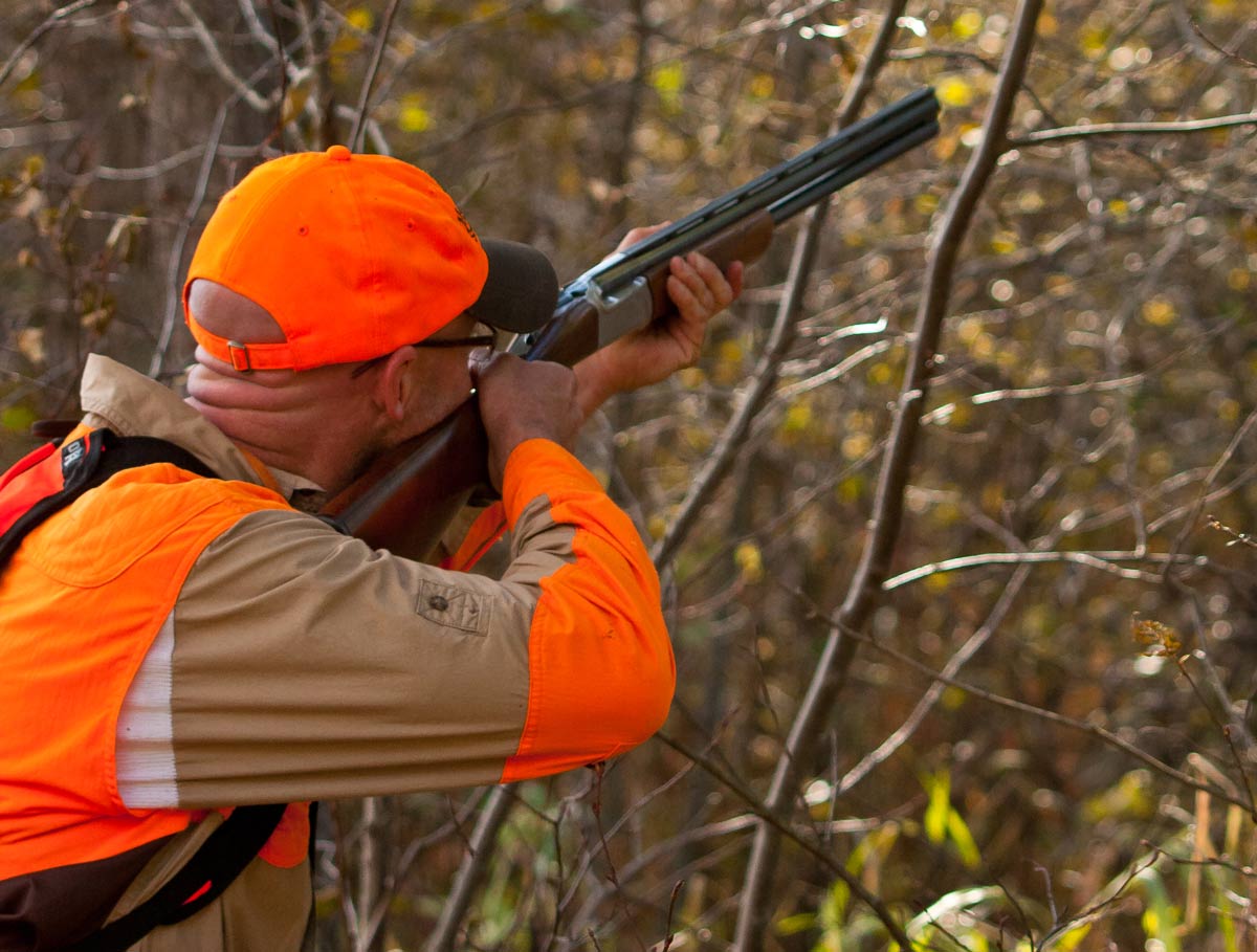 Barrel Length and Ballistics | Shooting Sportsman Magazine