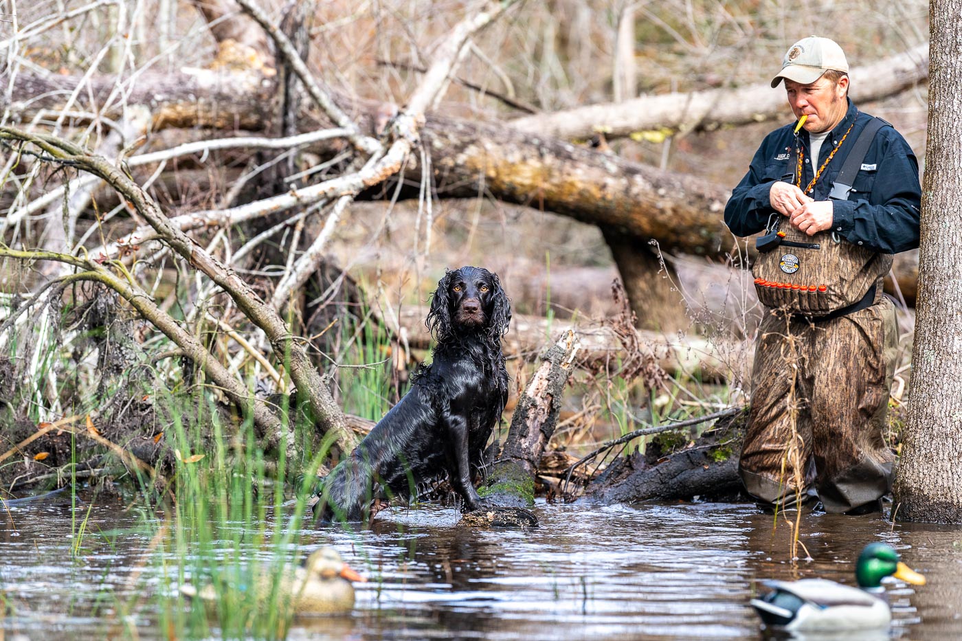 Destination: Doves | Shooting Sportsman